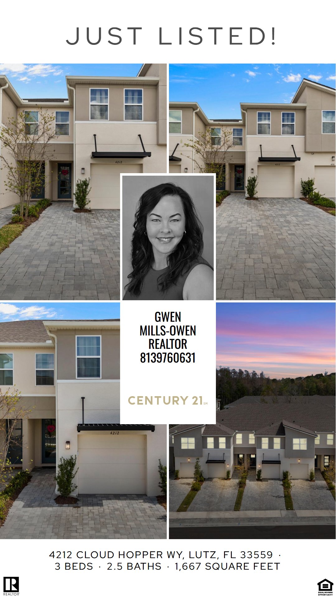 4212 Cloud Hopper Wy, Lutz, FL 33559